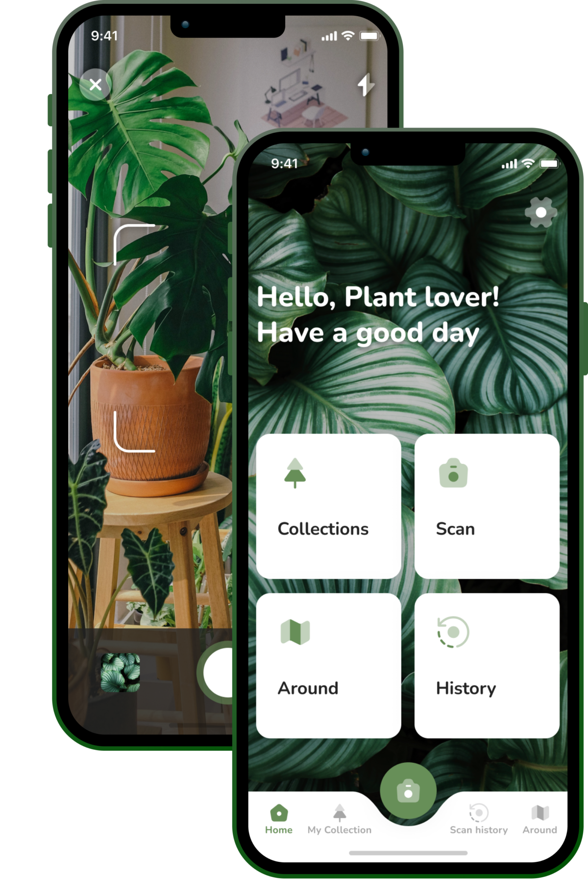 Planty Life – Plant Identification